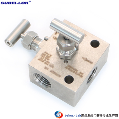 仪表二阀组 SS-V2BF8