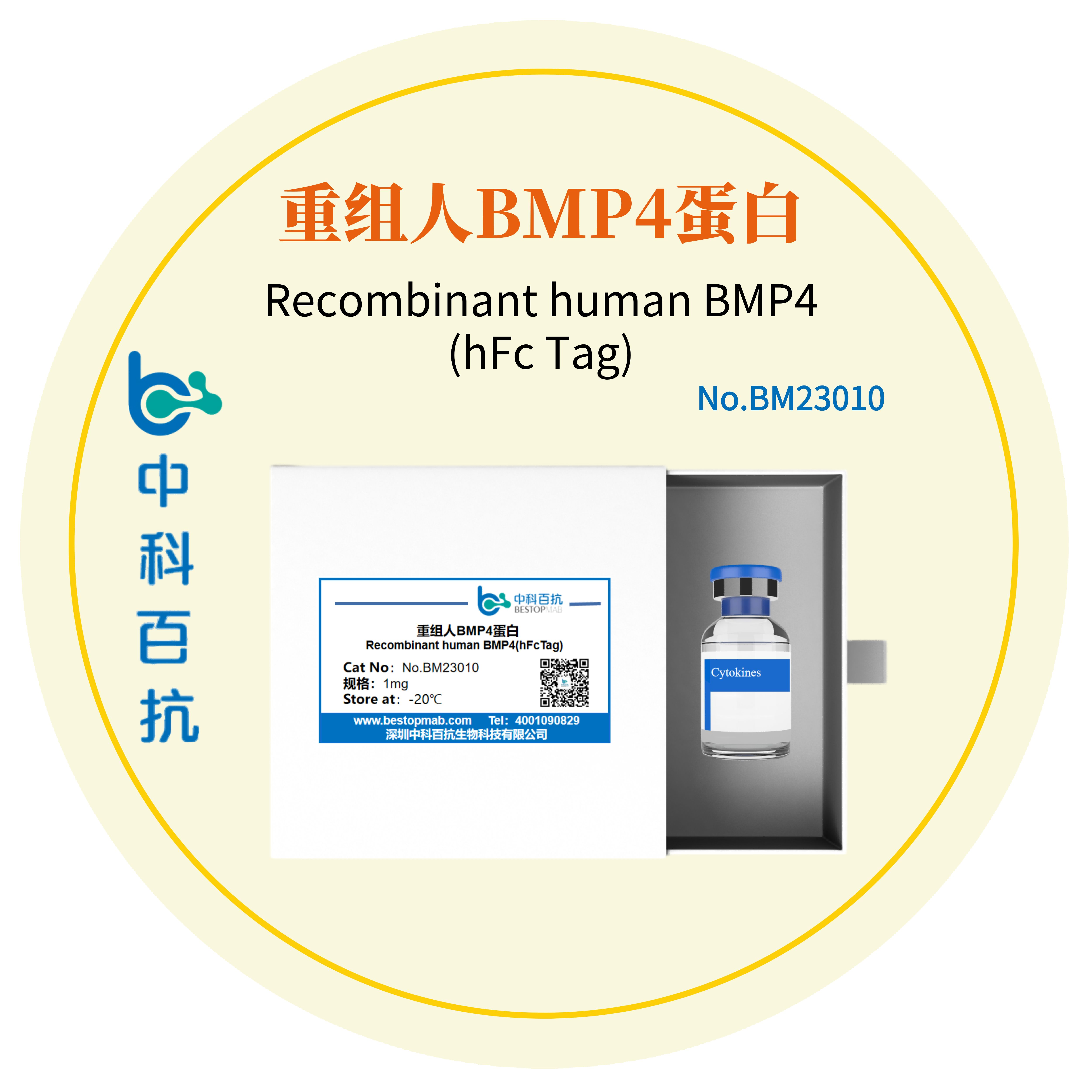 重组人BMP4蛋白Recombinant human BMP4 (hFc Tag)