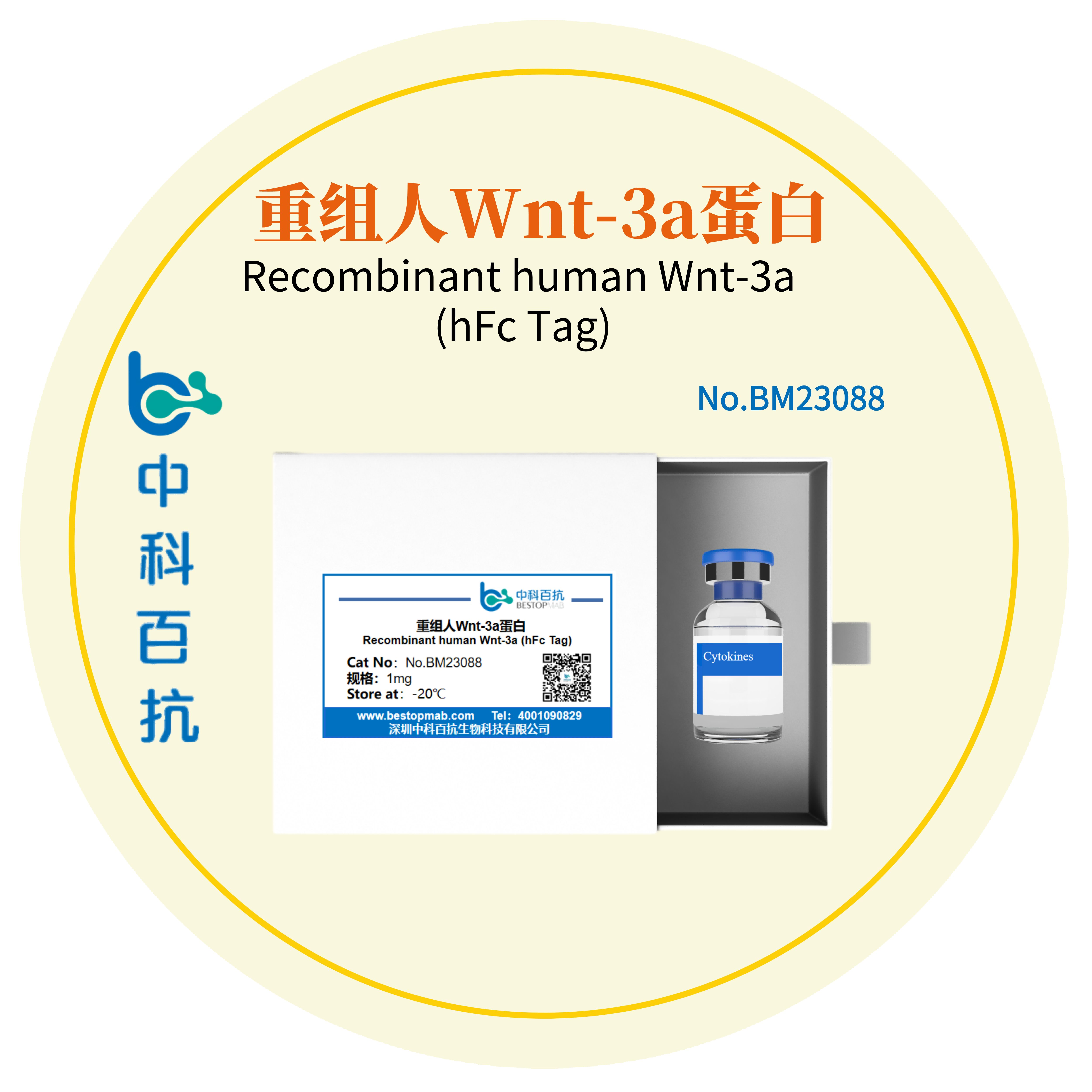 重组人Wnt-3a蛋白Recombinant human Wnt-3a (hFc Tag)