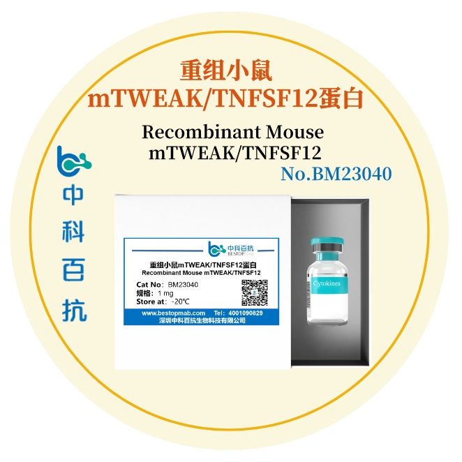 重组小鼠TWEAK/TNFSF12蛋白Recombinant Mouse mTWEAK/TNFSF12